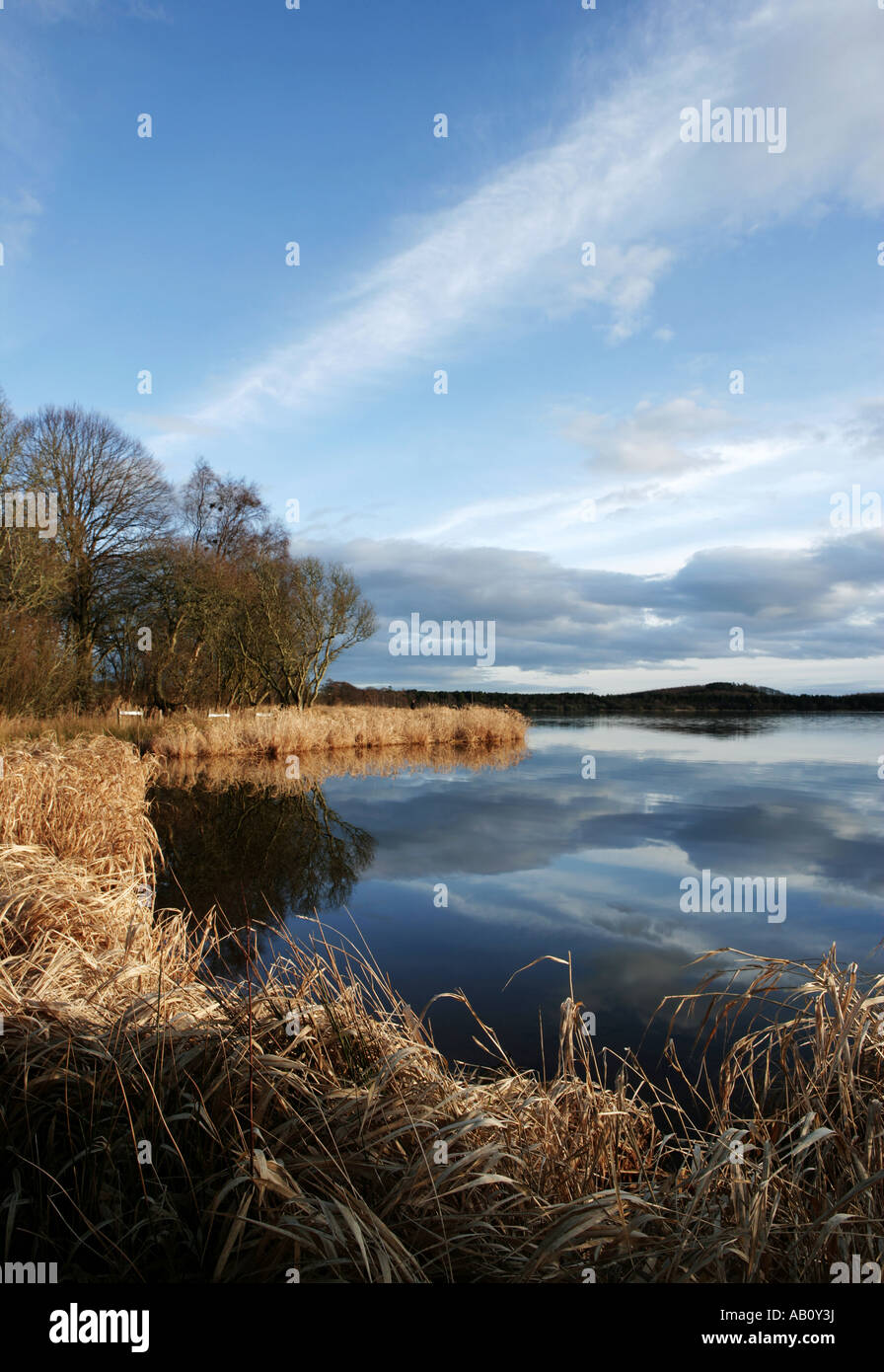 Moody portrait format image of Loch of Skene near Aberdeen Scotland ...