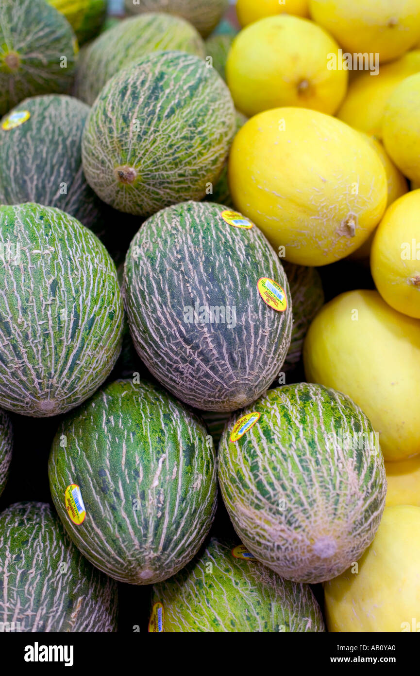melon vertical nobody no one still life view color cuisine culinary ...