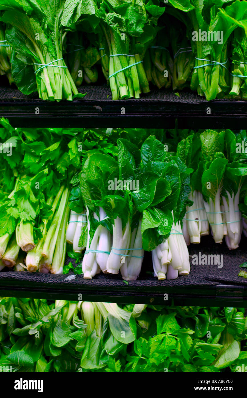 vertical bok choy pak choy still life color cuisine culinary fresh ...