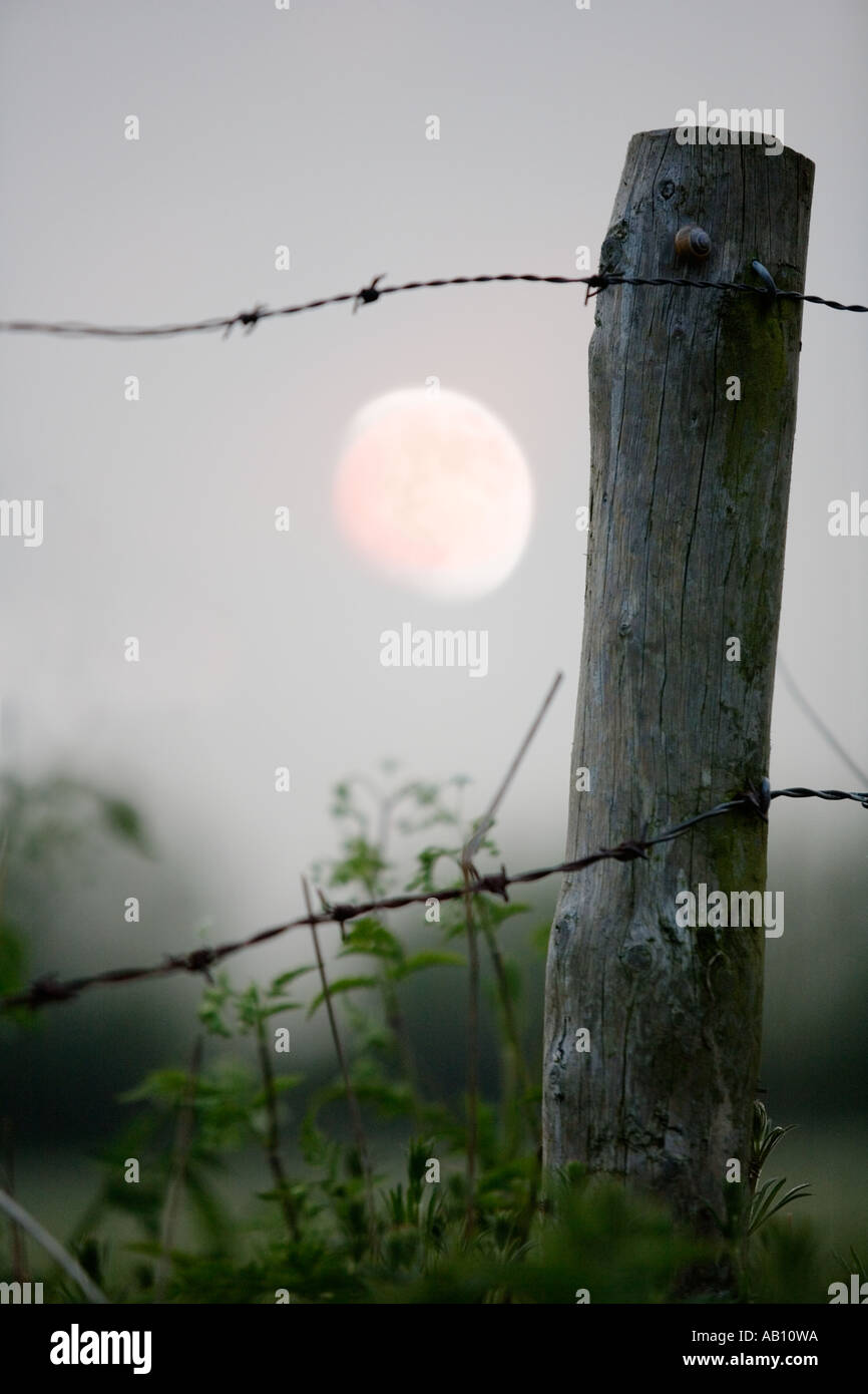 moon and fence post Stock Photo - Alamy