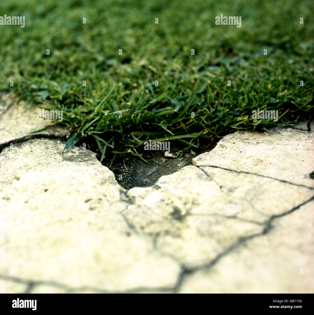 Grass and cracked pavement Stock Photo - Alamy