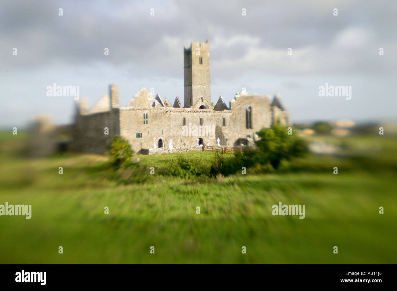 Quin abby hi-res stock photography and images - Alamy