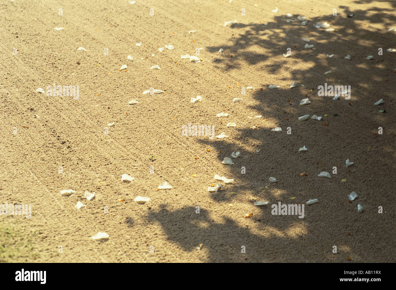 Shisendo Temple Kyoto Prefecture Japan Stock Photo - Alamy