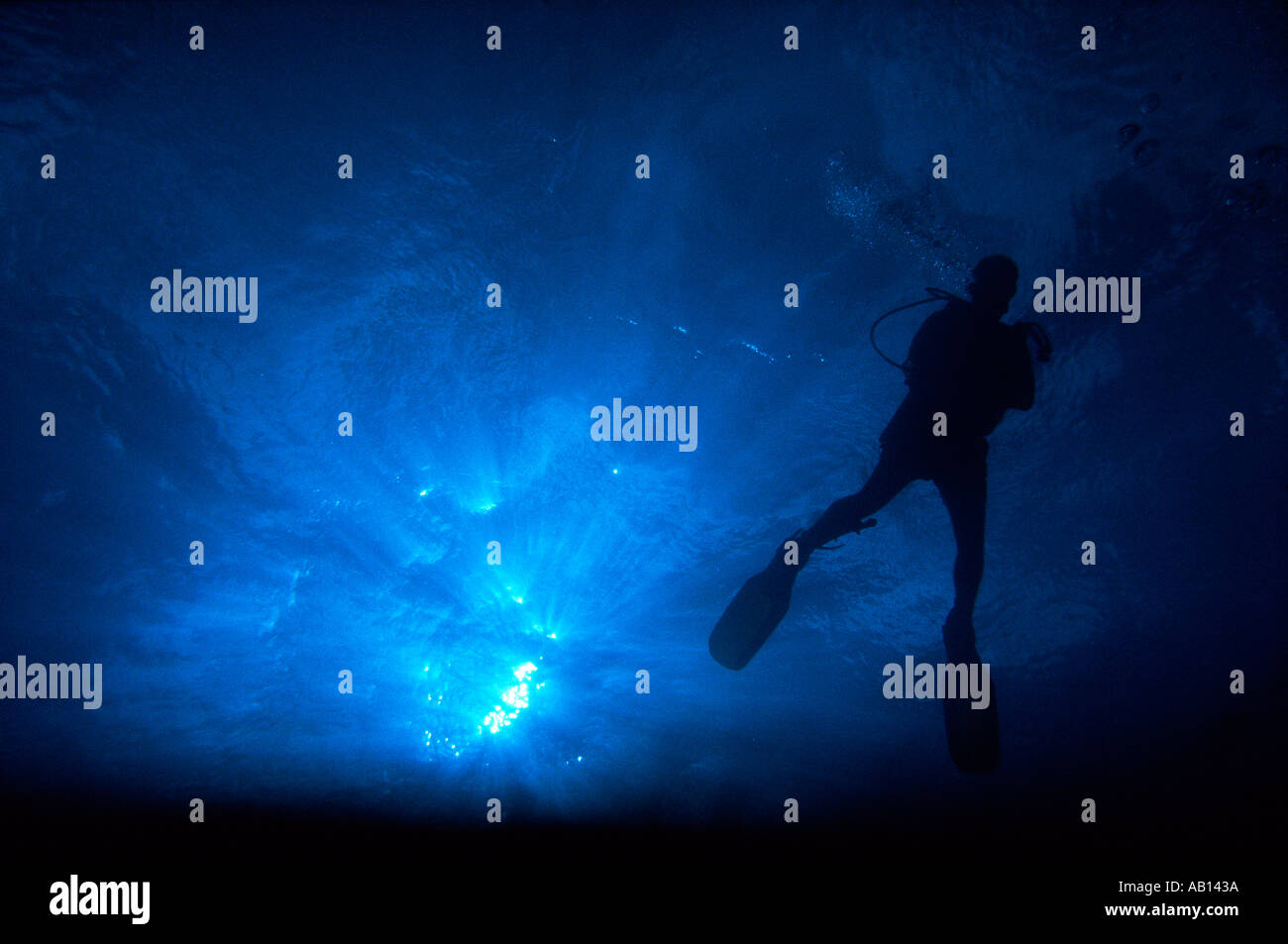 Diver cook hi-res stock photography and images - Alamy