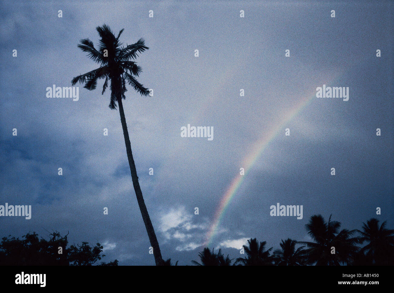 Palm tree and rainbow Rarotonga Cook islands South Pacific Stock Photo ...