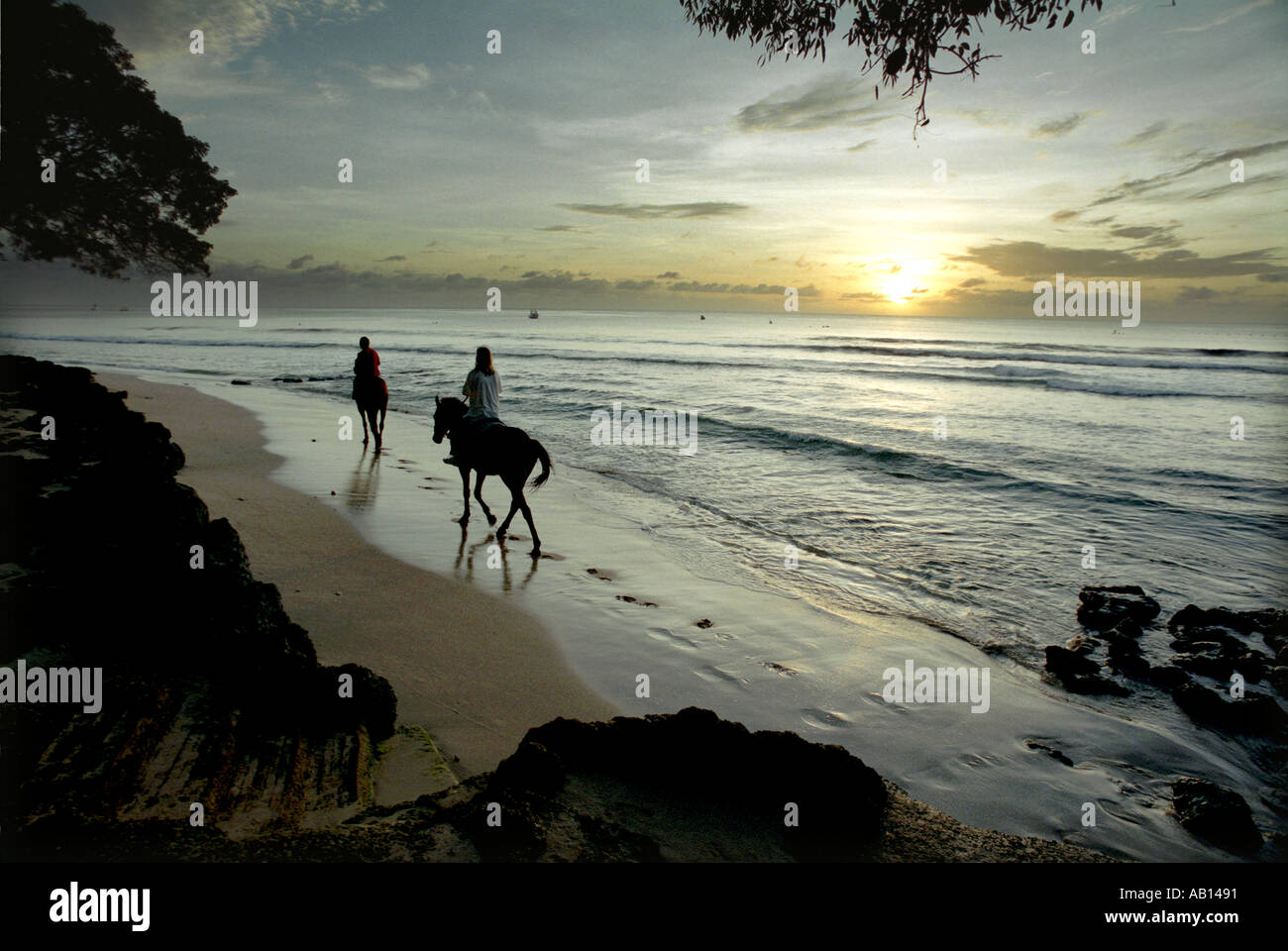 Caribbean horse riding hi-res stock photography and images - Alamy