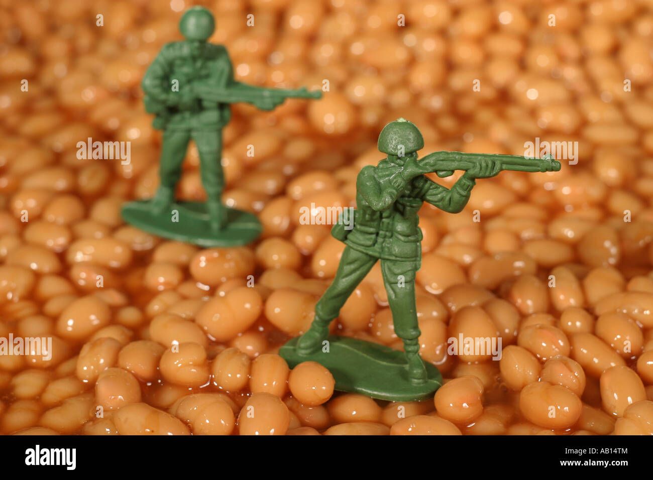 Tomato army hi-res stock photography and images - Alamy