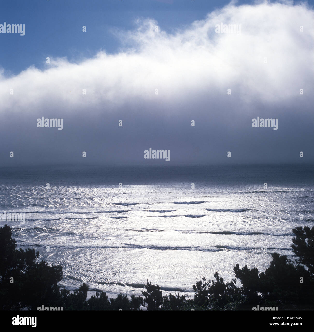 heavy fog rolling into shore on the Pacific Coast in Oregon USA Stock ...