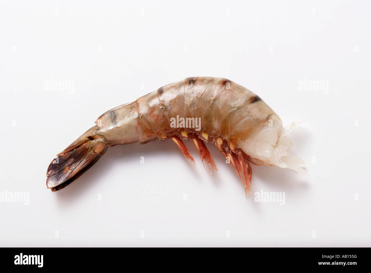 Fresh king prawn without head FoodCollection Stock Photo - Alamy
