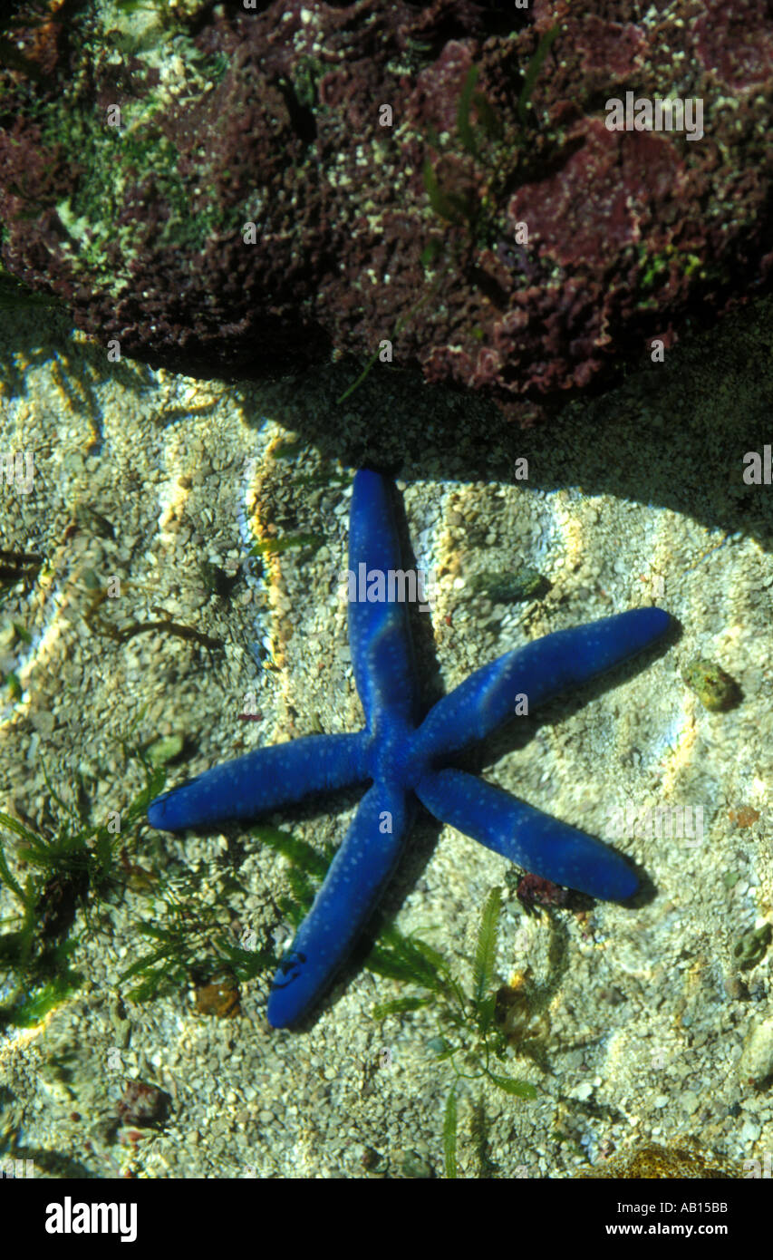 Indian ocean five star holiday hi-res stock photography and images - Alamy
