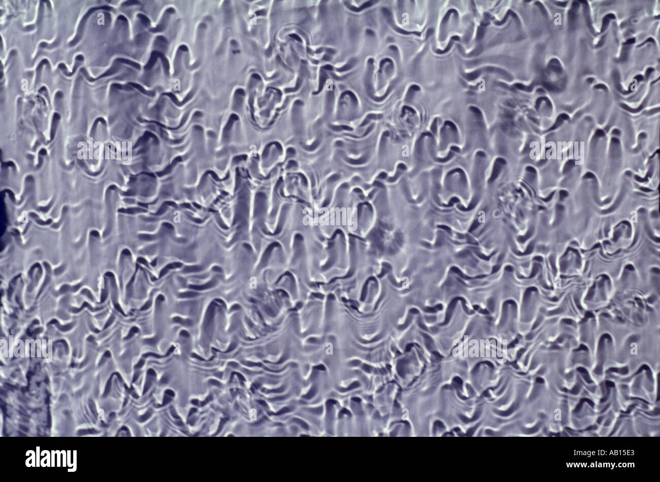 White silk hose hi-res stock photography and images - Alamy