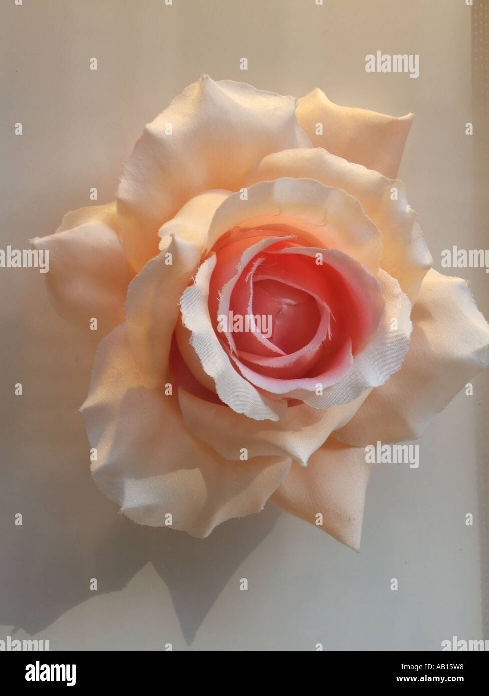 artificial rose in window Stock Photo - Alamy