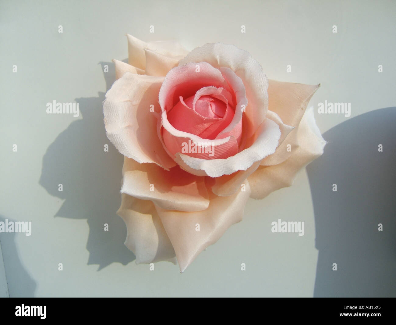 artificial rose in window Stock Photo - Alamy