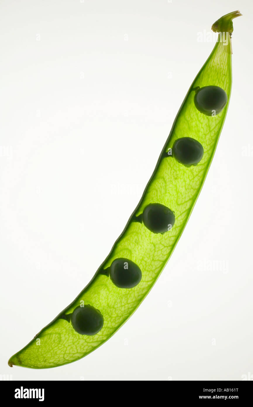 Peas cut out from above hi-res stock photography and images - Alamy