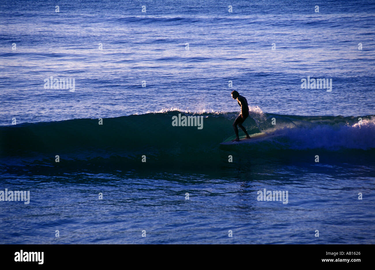 First point beach noosa hi-res stock photography and images - Alamy