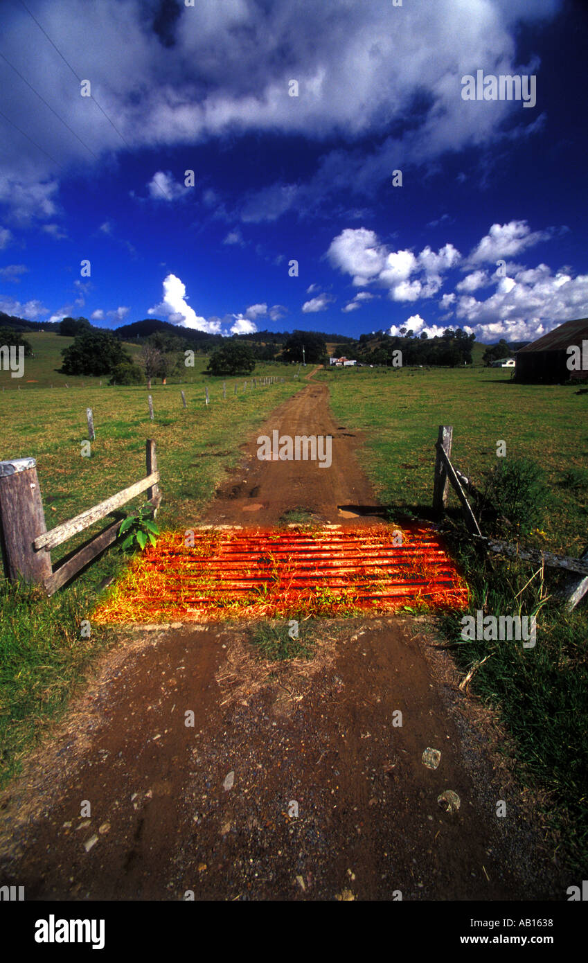 Hot Grid Cattle grid on dairy farm These grids prevent the escape of ...