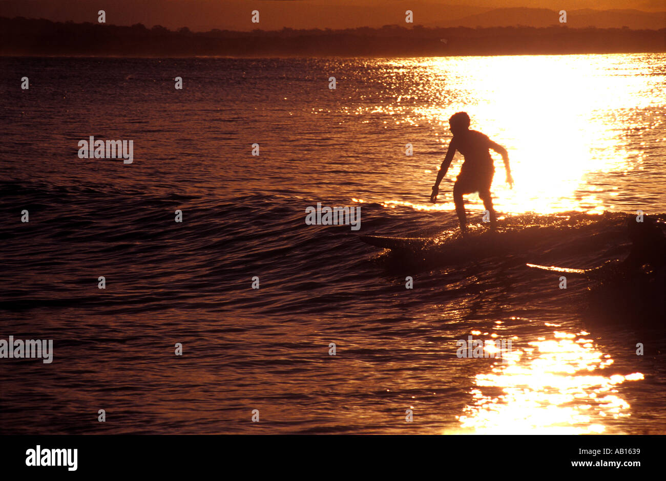 First point beach noosa hi-res stock photography and images - Alamy