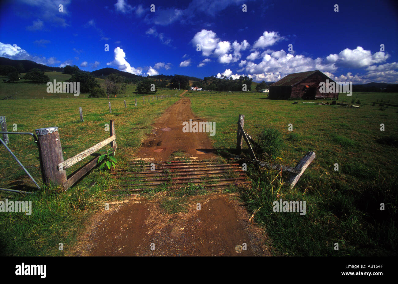 Cattle grid on dairy farm These grids prevent the escape of cattle and ...