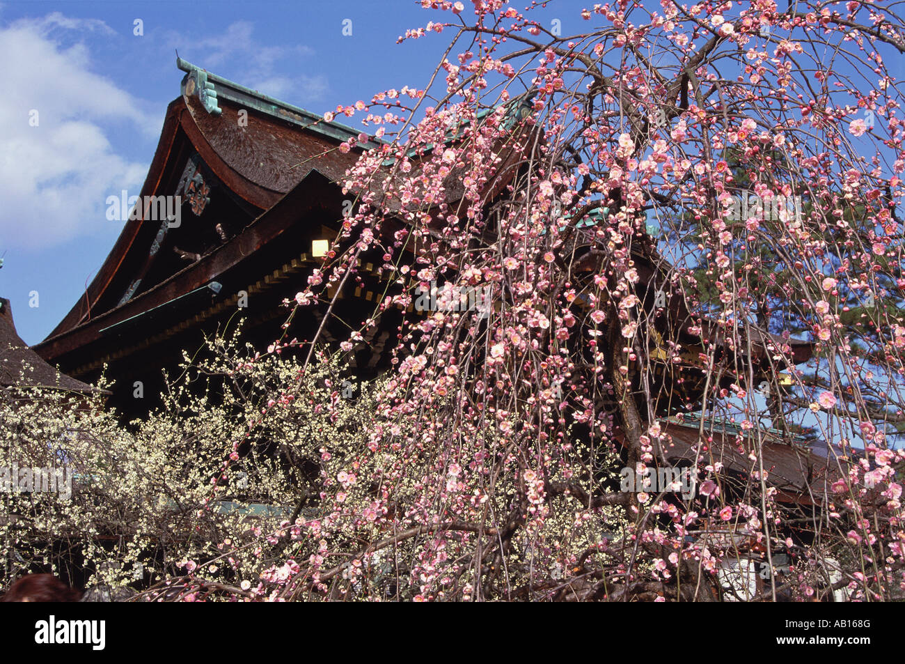 Kitano Tenmangu Shrine Kyoto Prefecture Japan Stock Photo - Alamy