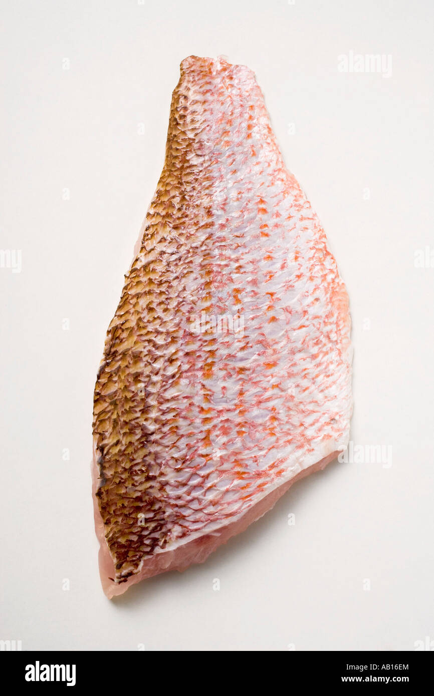 Fresh raw fish common pandora hi-res stock photography and images - Alamy