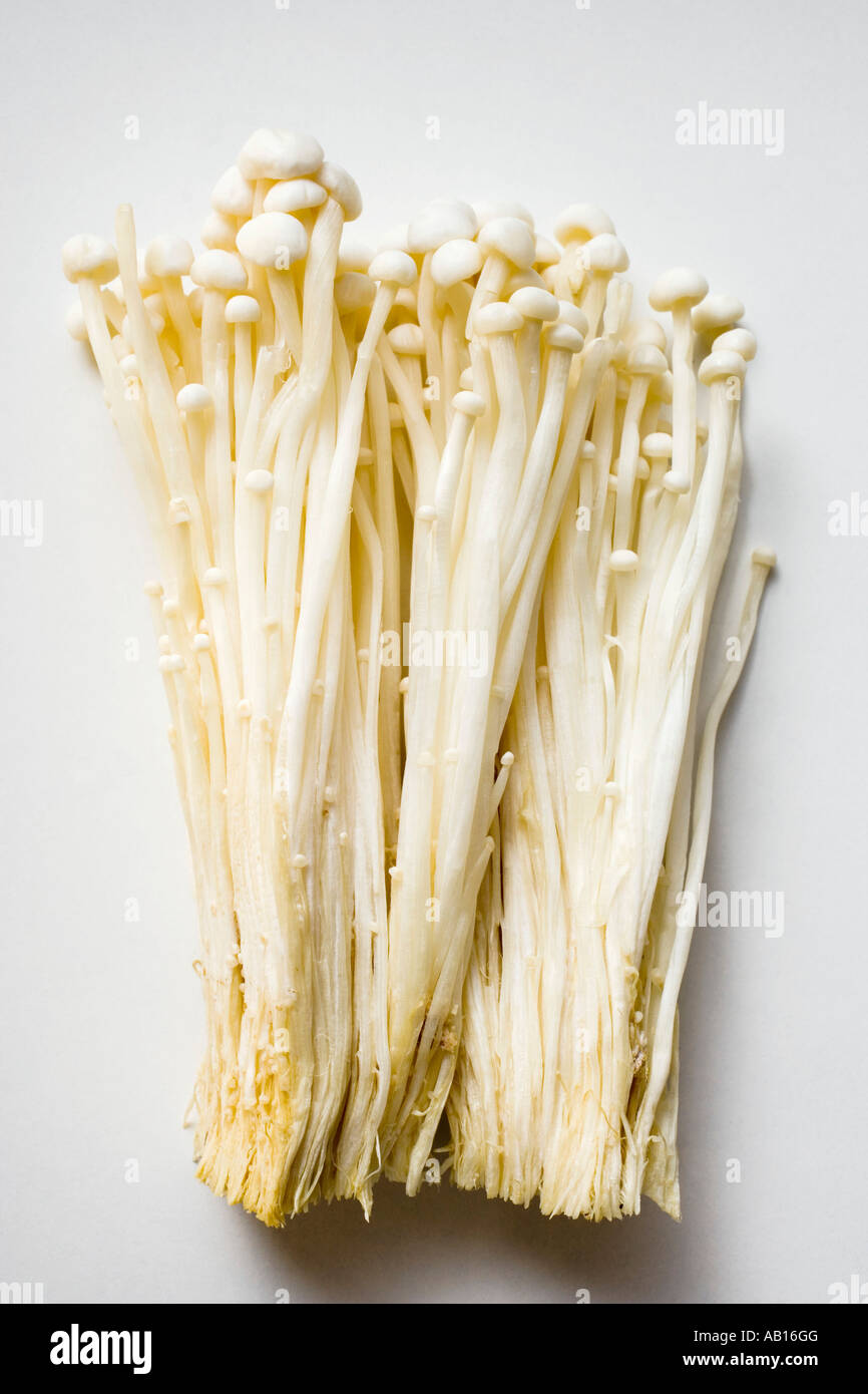 Fresh enokitake mushrooms FoodCollection Stock Photo - Alamy