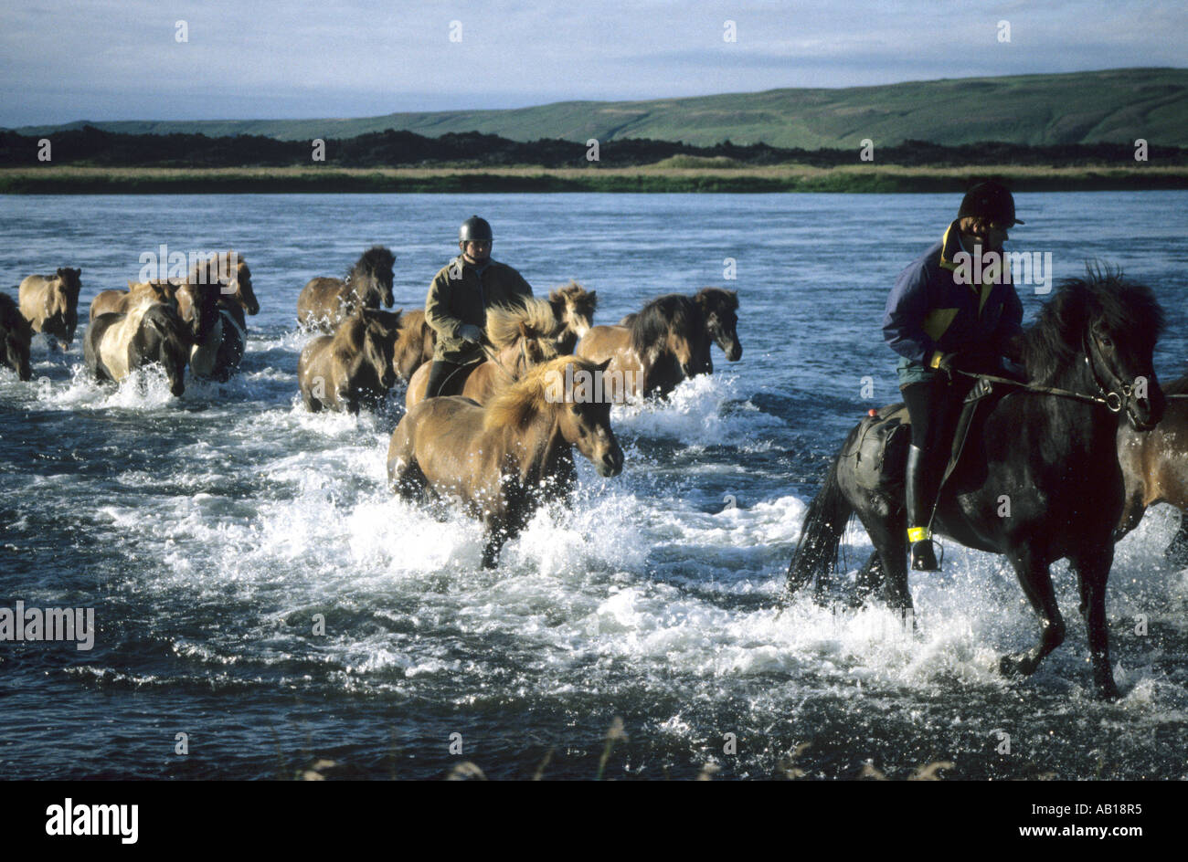 Native river horse hi-res stock photography and images - Alamy