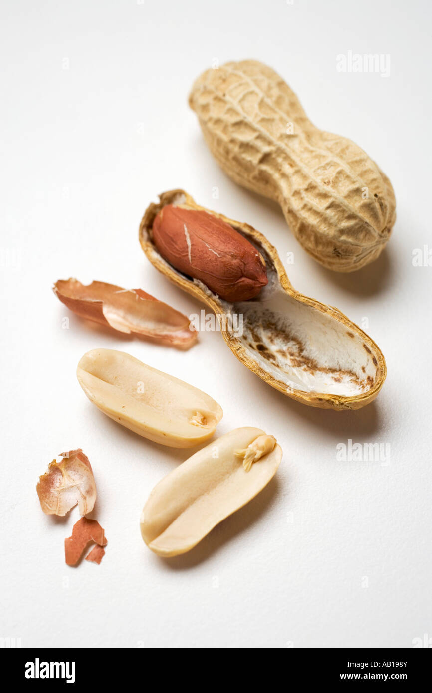 Two peanuts shelled and unshelled FoodCollection Stock Photo - Alamy