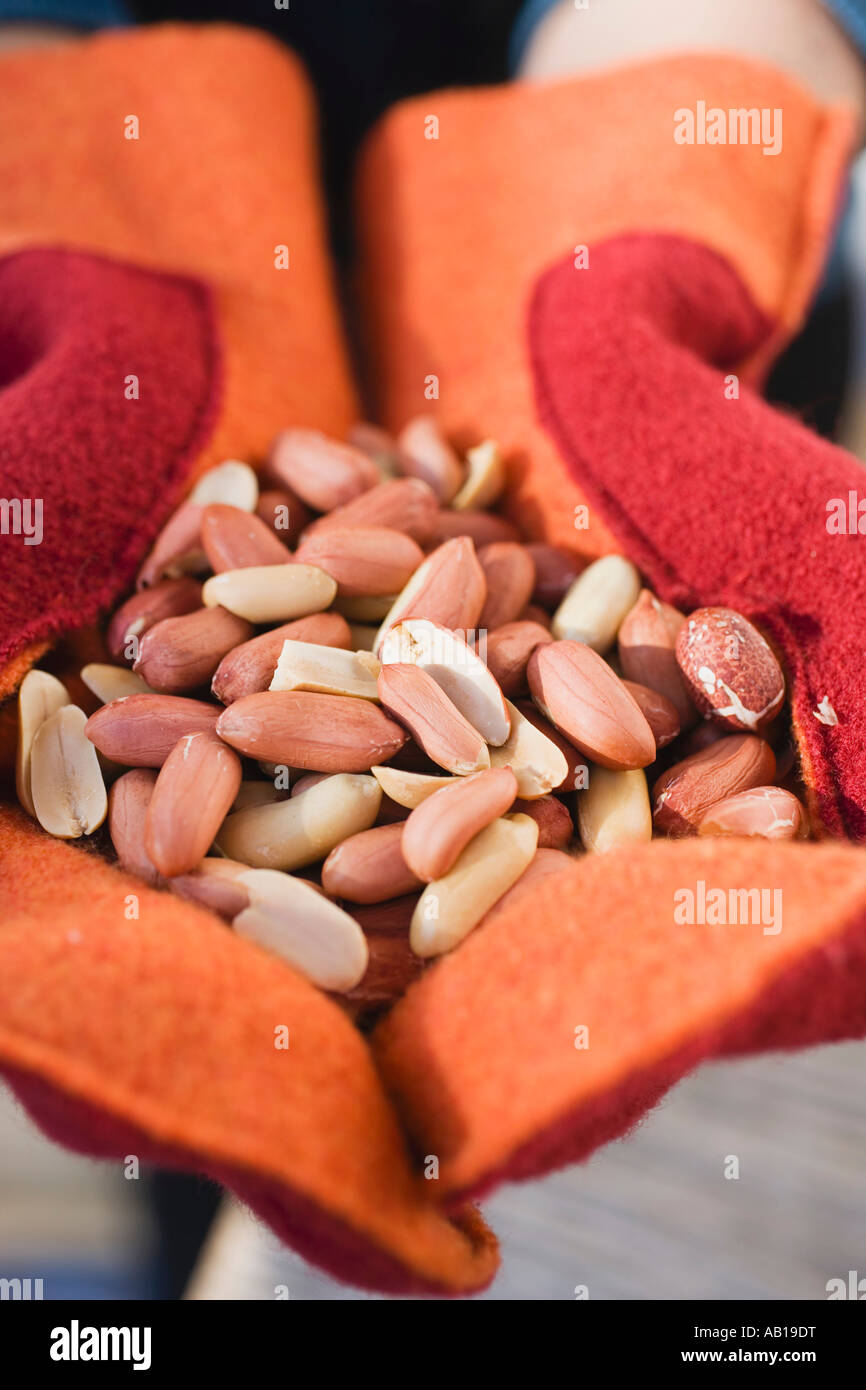Hands in mittens holding peanuts FoodCollection Stock Photo - Alamy