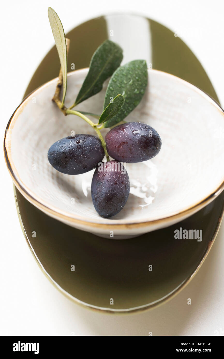 Olive sprig with black olives in white bowl FoodCollection Stock Photo ...