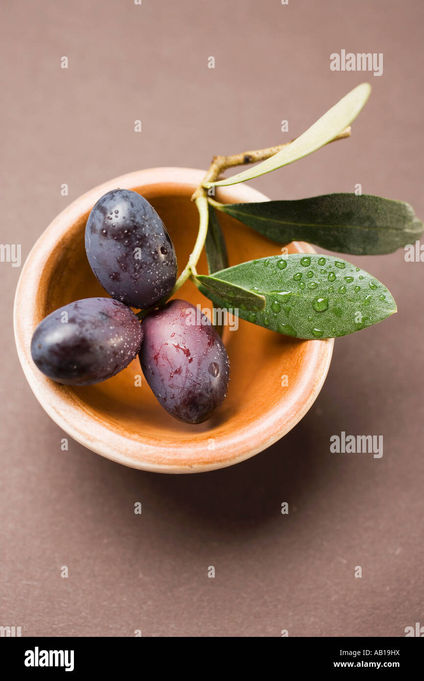 Olive sprig with black olives in terracotta bowl overhead ...
