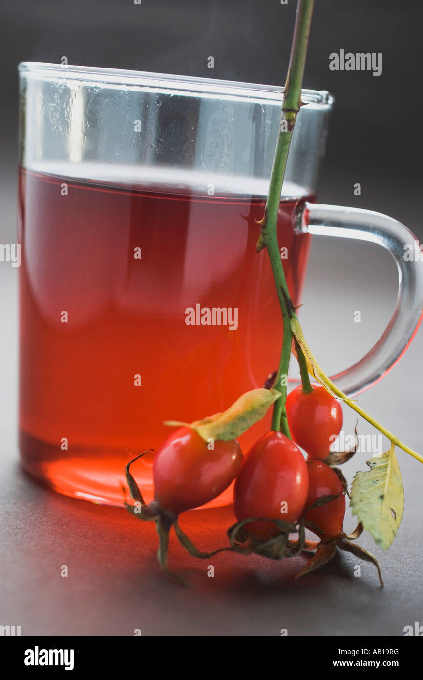 Rose hip tea in glass cup sprig of fresh rose hips FoodCollection Stock ...