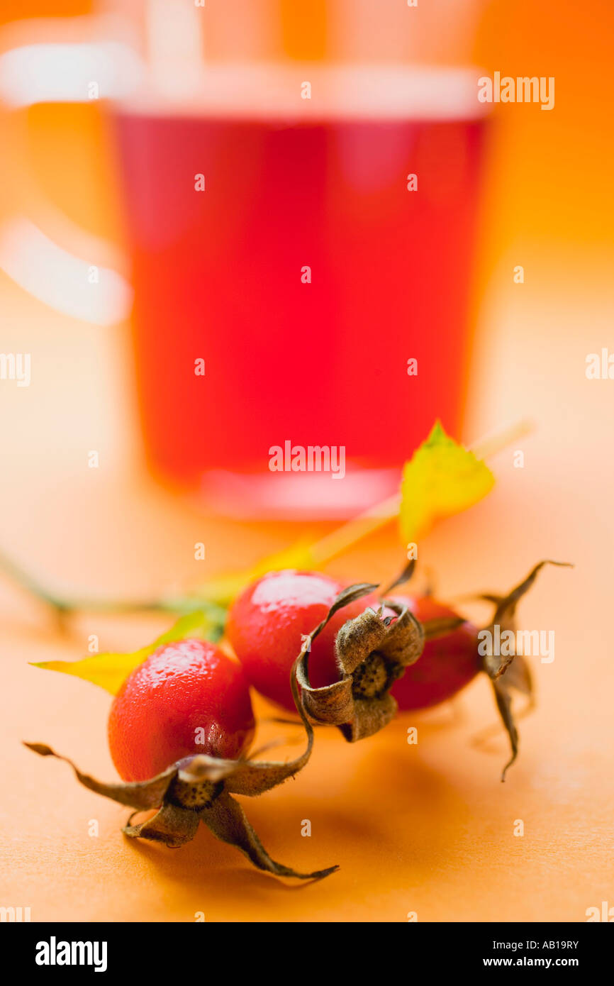 Rose hip tea in glass cup sprig of fresh rose hips FoodCollection Stock ...