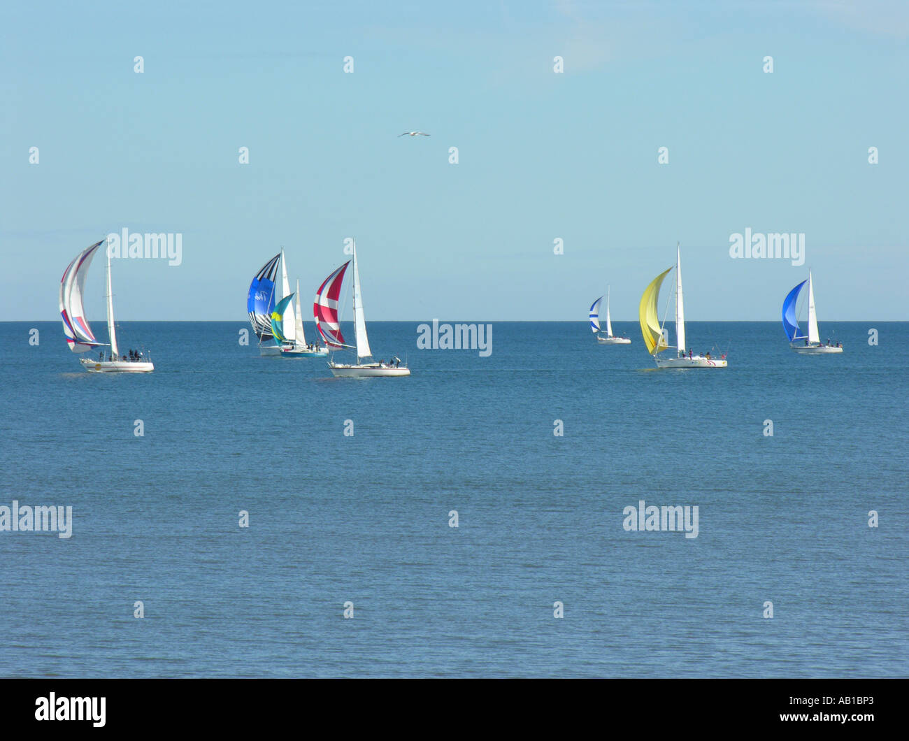 Sailboats racing at sea Stock Photo - Alamy