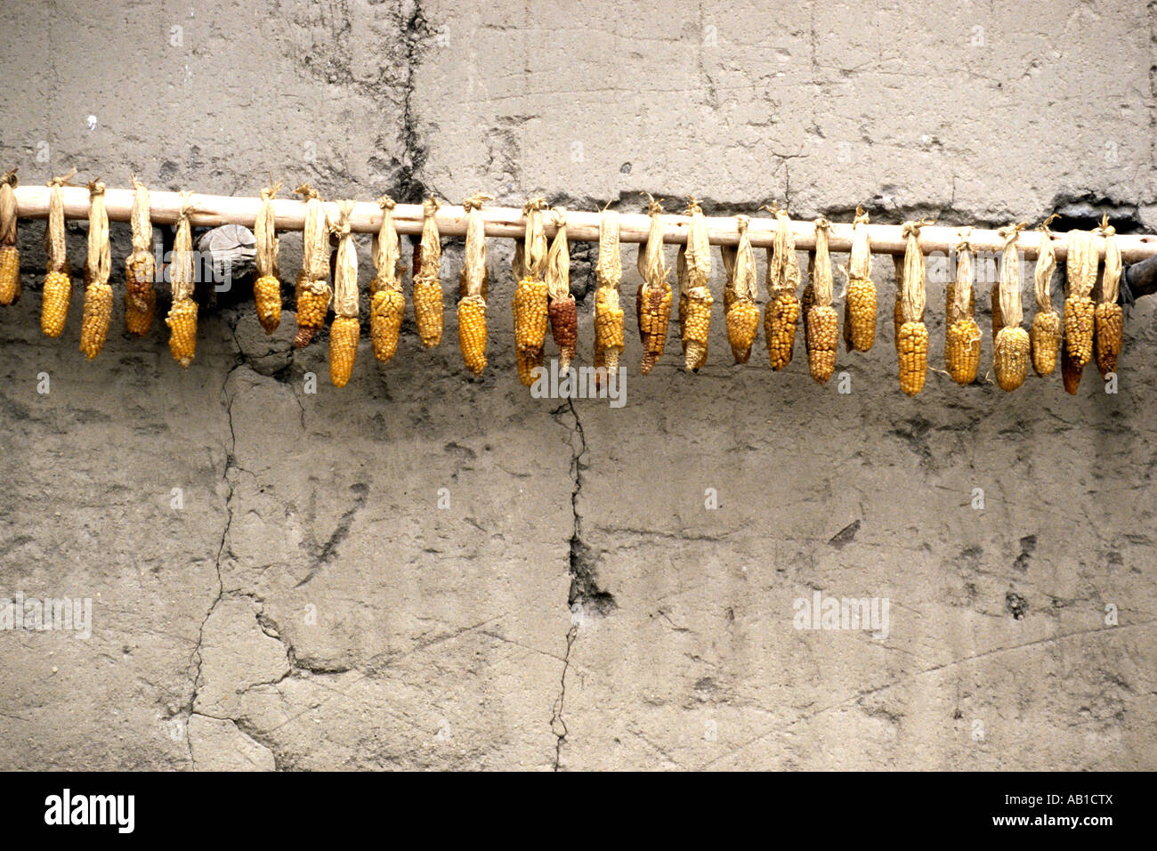 Hanging indian corn hi-res stock photography and images - Alamy