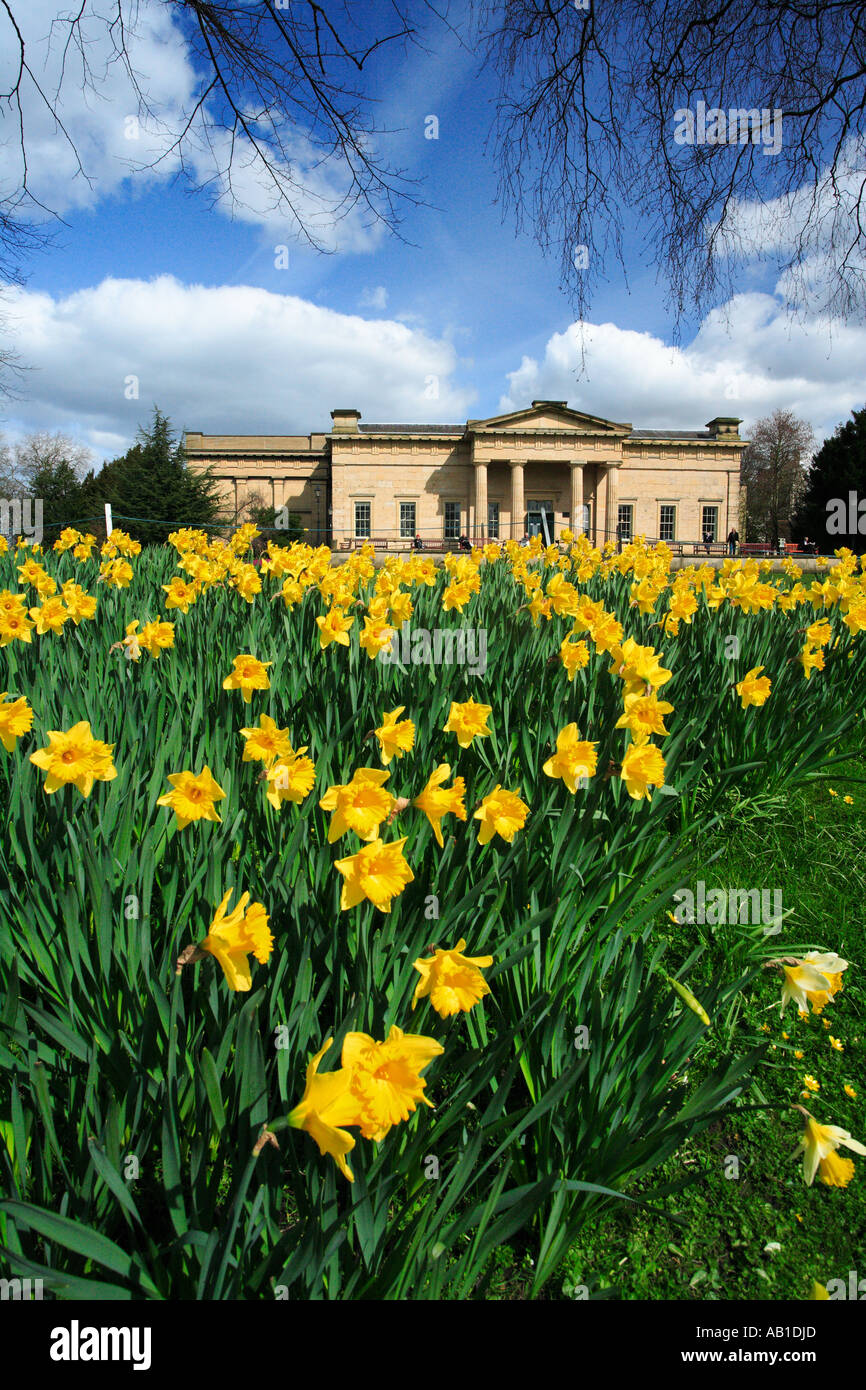 Yorkshire Museum York City Yorkshire England Stock Photo - Alamy