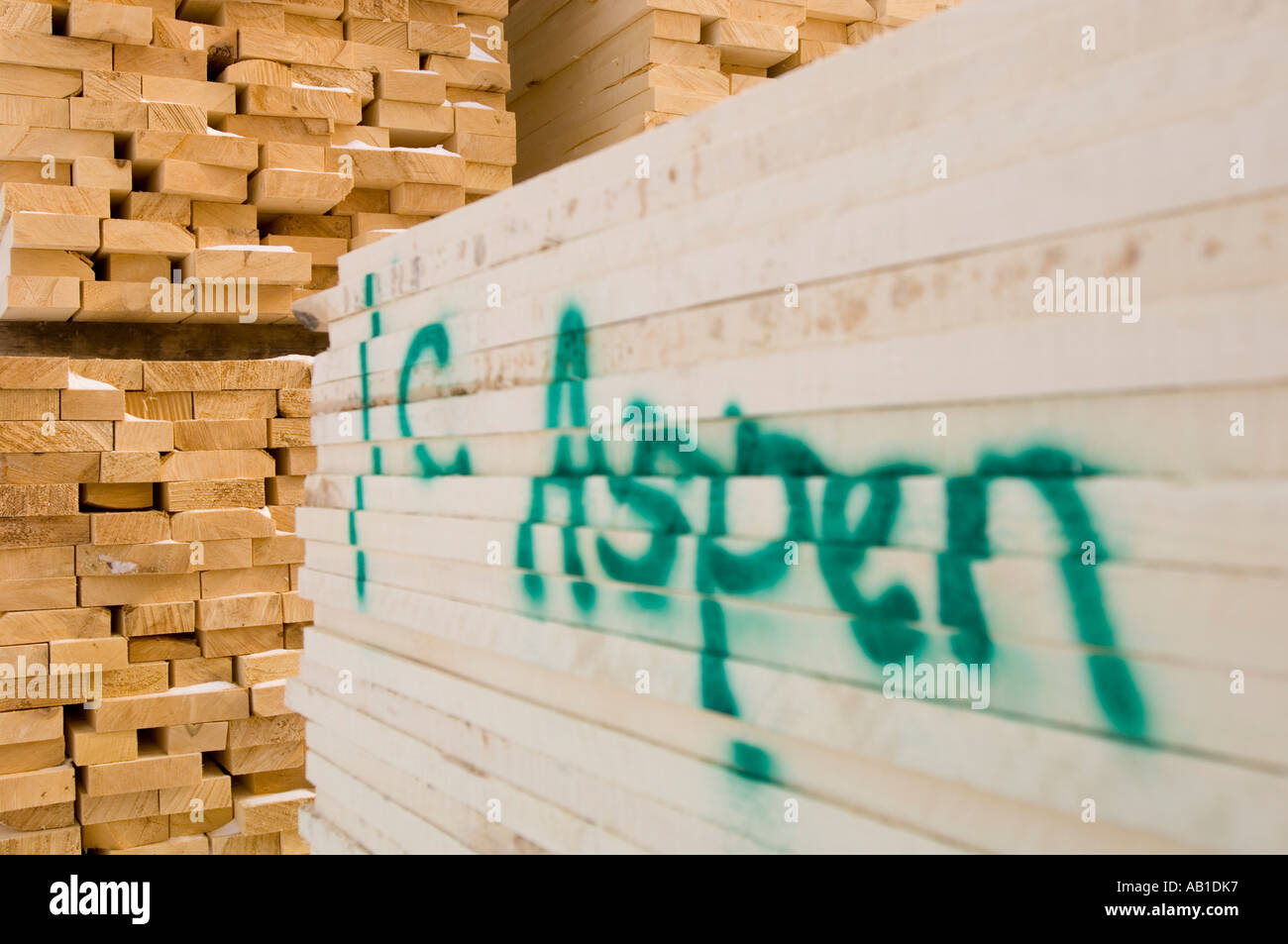 CUT ASPEN PLANKS Stock Photo - Alamy