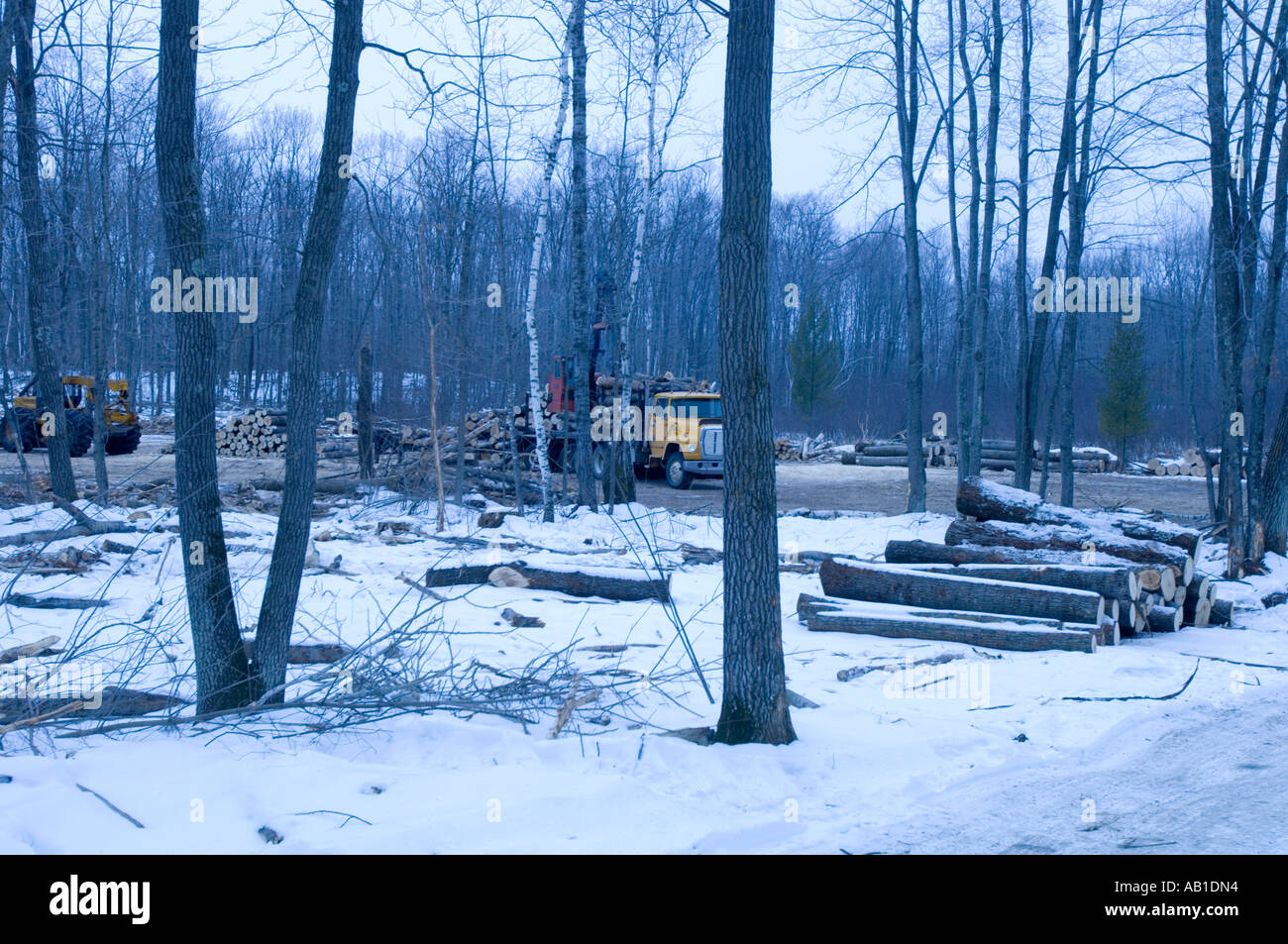 Loader logger logging logging hi-res stock photography and images - Alamy