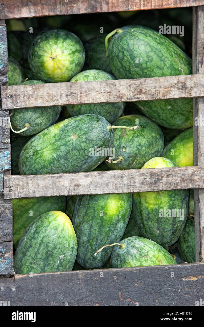 Vietnam watermelon fruit melons hi-res stock photography and images - Alamy