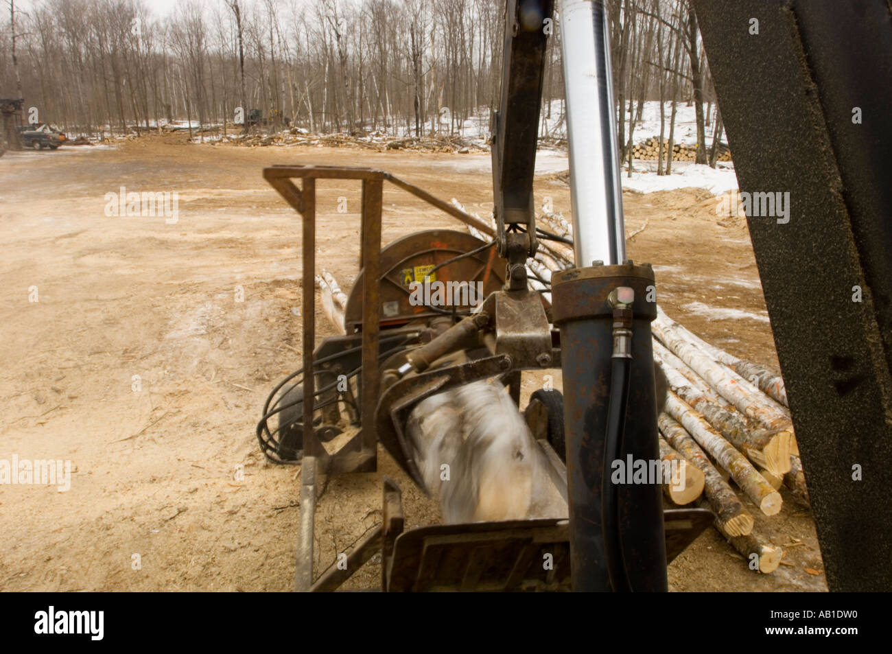 View from the loader cab slashing logs to length Stock Photo - Alamy