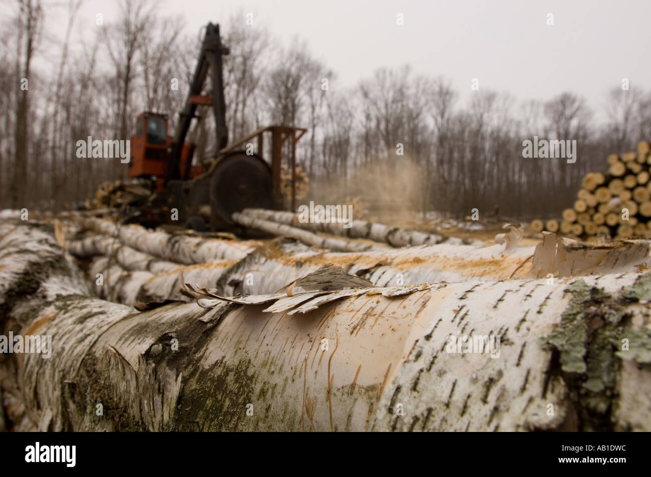 Slasher hi-res stock photography and images - Alamy