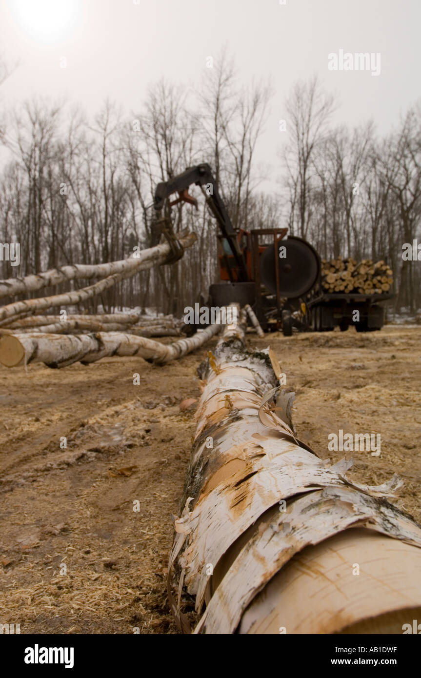 Slasher hi-res stock photography and images - Alamy