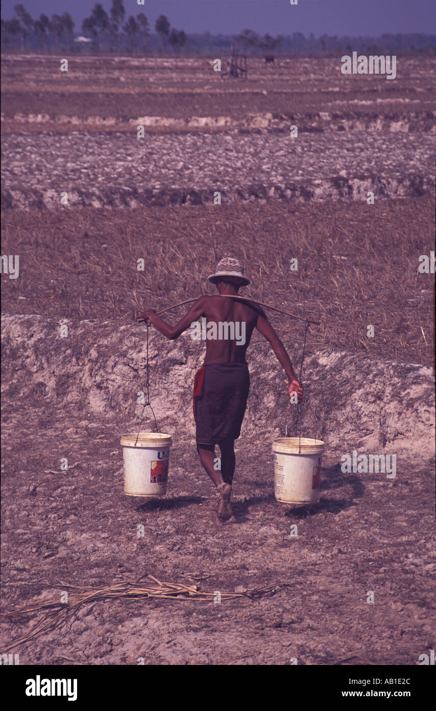 CARRYING WATER ACROSS DRY RICE FIELD MESANG DISTRICT CAMBODIA Stock ...