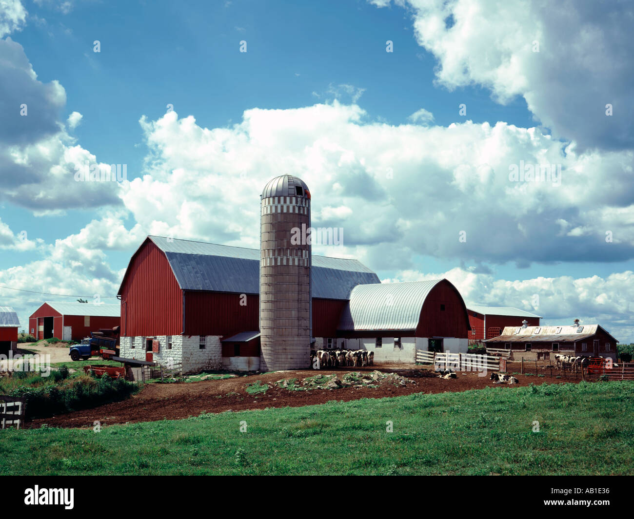 Wisconsin dairy farm showing Holstein cows in yard and a typical dairy ...