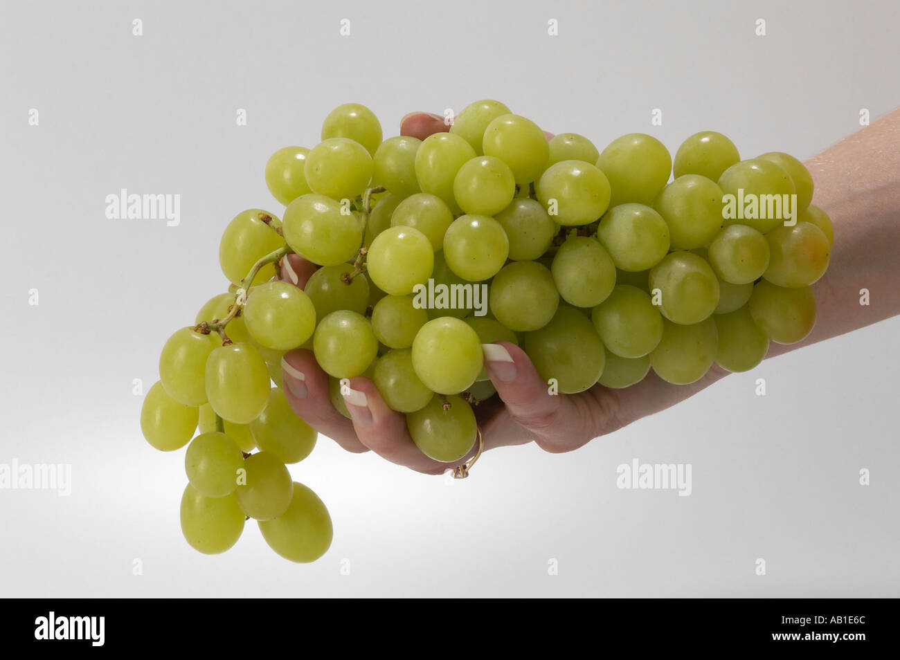 Hand holding bunch of grapes Stock Photo - Alamy