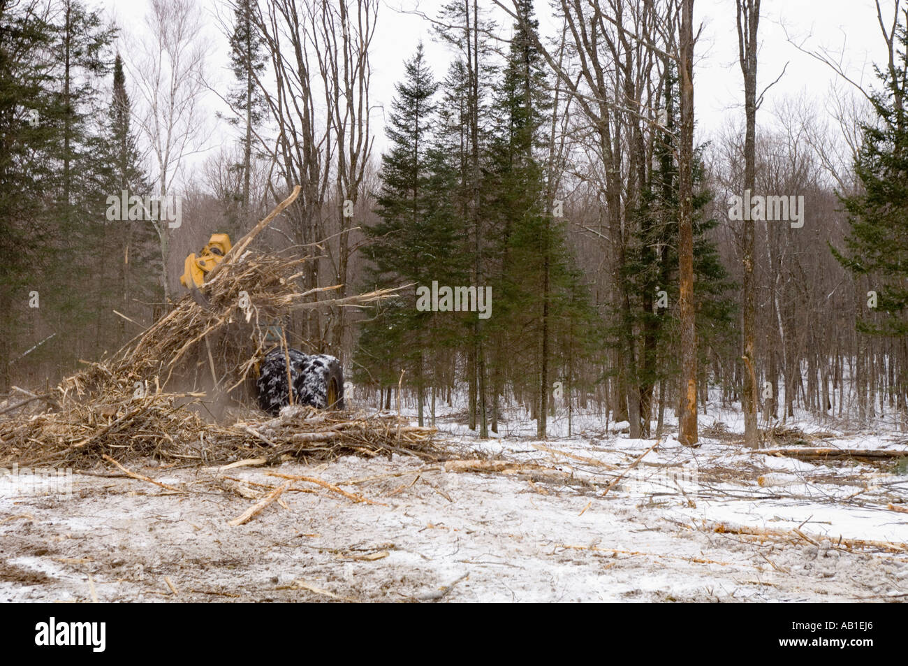 Logging debris hi-res stock photography and images - Alamy