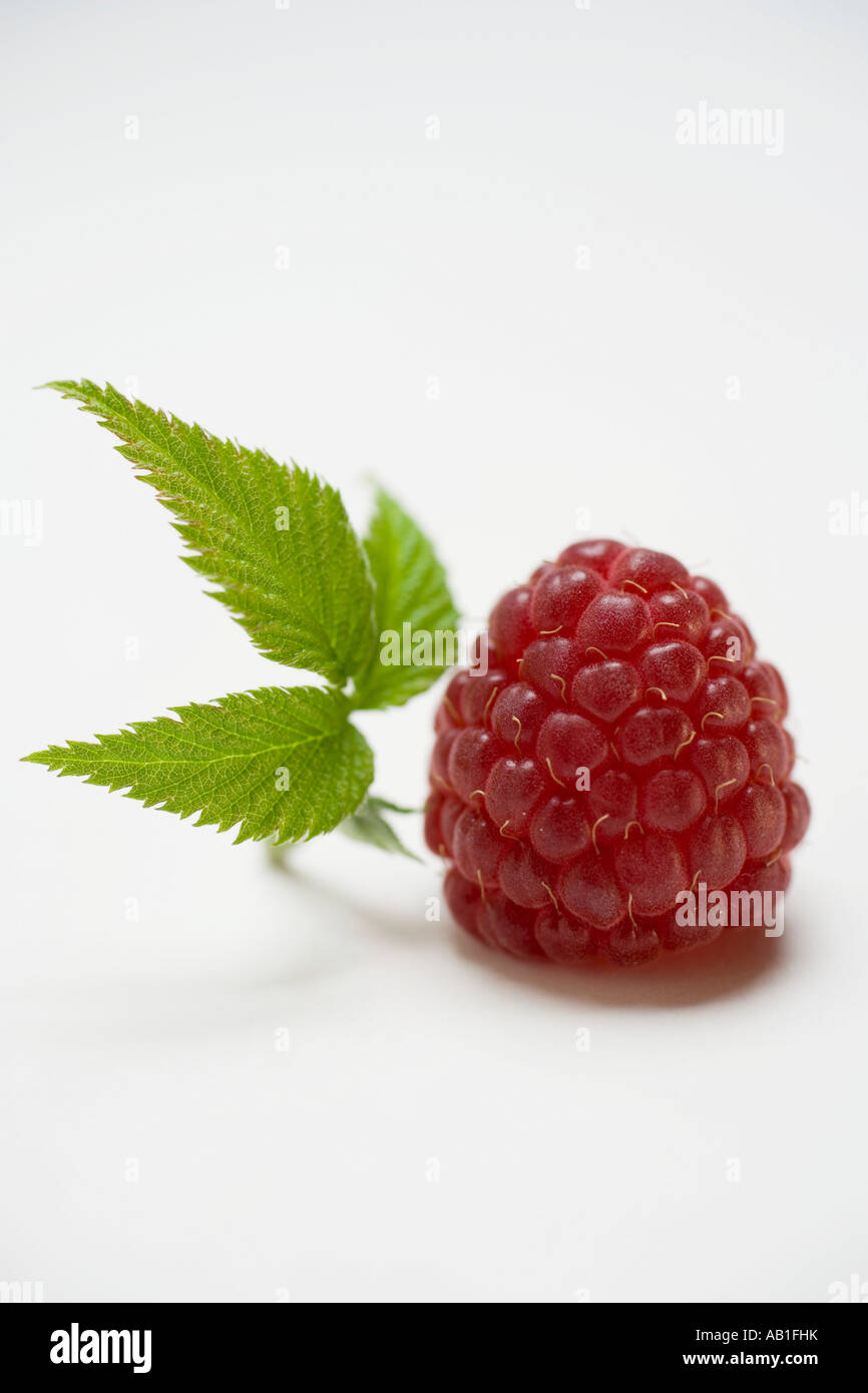 A raspberry with leaves FoodCollection Stock Photo - Alamy