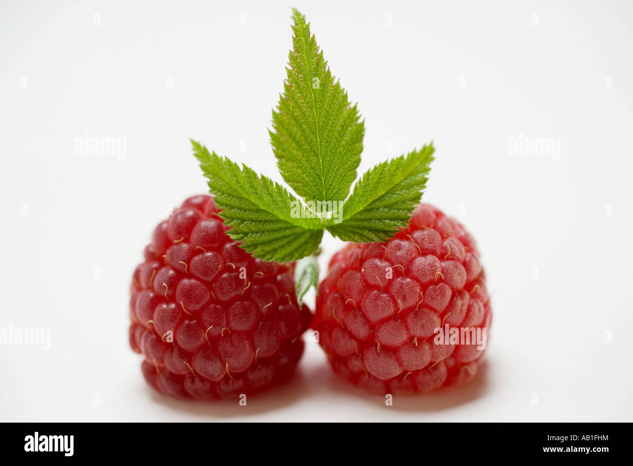 Two raspberries with leaves FoodCollection Stock Photo - Alamy