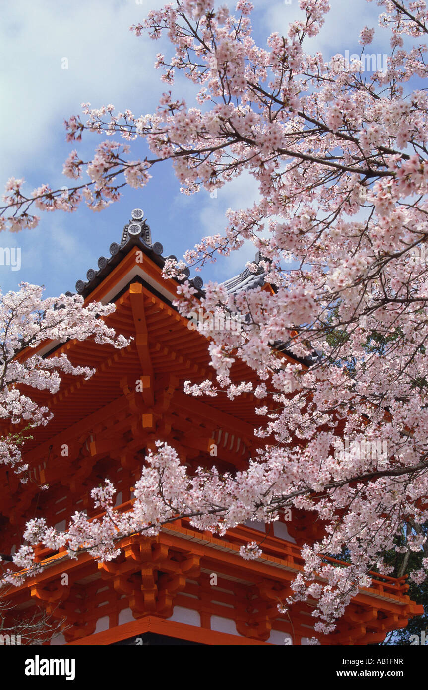 Ninnaji Temple Kyoto Prefecture Japan Stock Photo - Alamy
