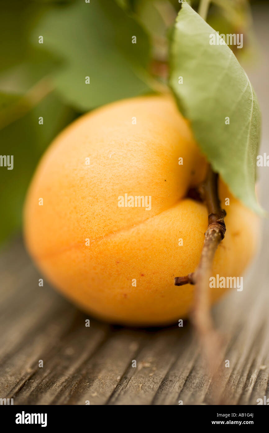 Apricot with leaves FoodCollection Stock Photo - Alamy