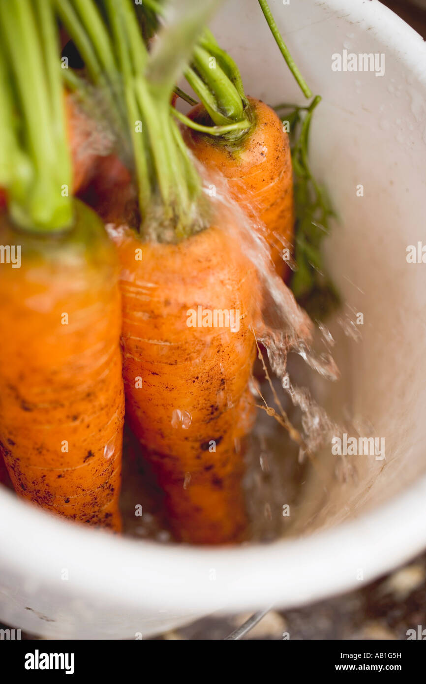 Washing carrots in a bucket FoodCollection Stock Photo - Alamy